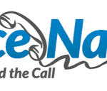 VoiceNation Review Review | Pros, Cons, & Options | Side By Side Reviews